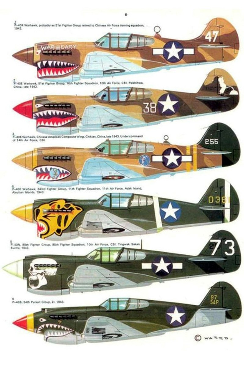 P 40 Paint Schemes