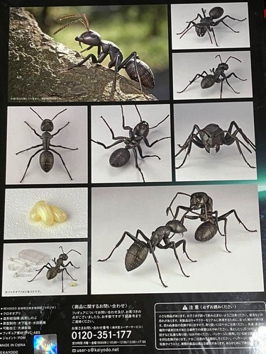 NEW KAIYODO REVOGEO RG009 Giant Black Ant Produce by Shinobu Matsumoto Figure | eBay