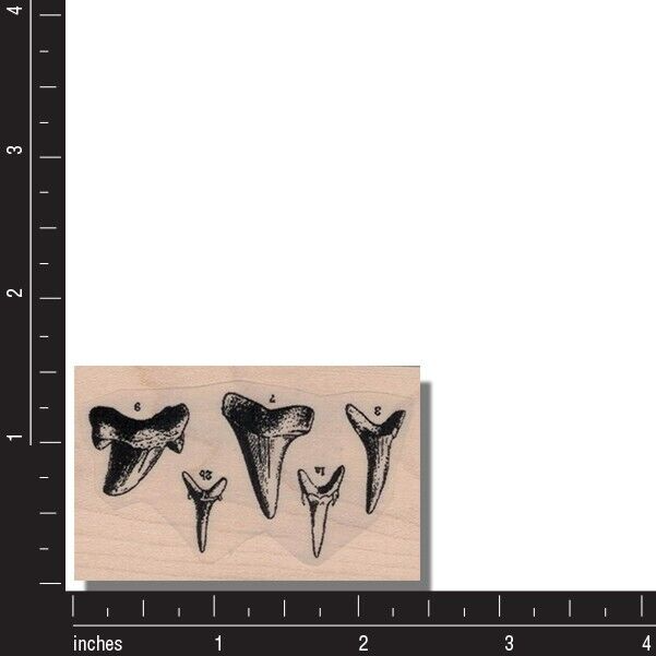 Mounted Rubber Stamp, SHARK TEETH, Mixed Media, Sea, Fish,Ocean,Animal ...