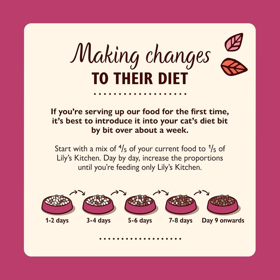 Lily's Kitchen Grain-Free Cat Food Paté - 4 Flavors, Complete Nutrition ...