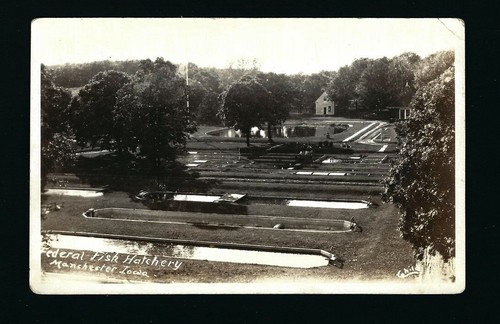 Manchester Iowa IA c1920 RPPC Federal Fish Hatchery Aerial View ...