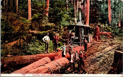 Logging With Donkey Engine California c 1910 Postcard C49 | eBay