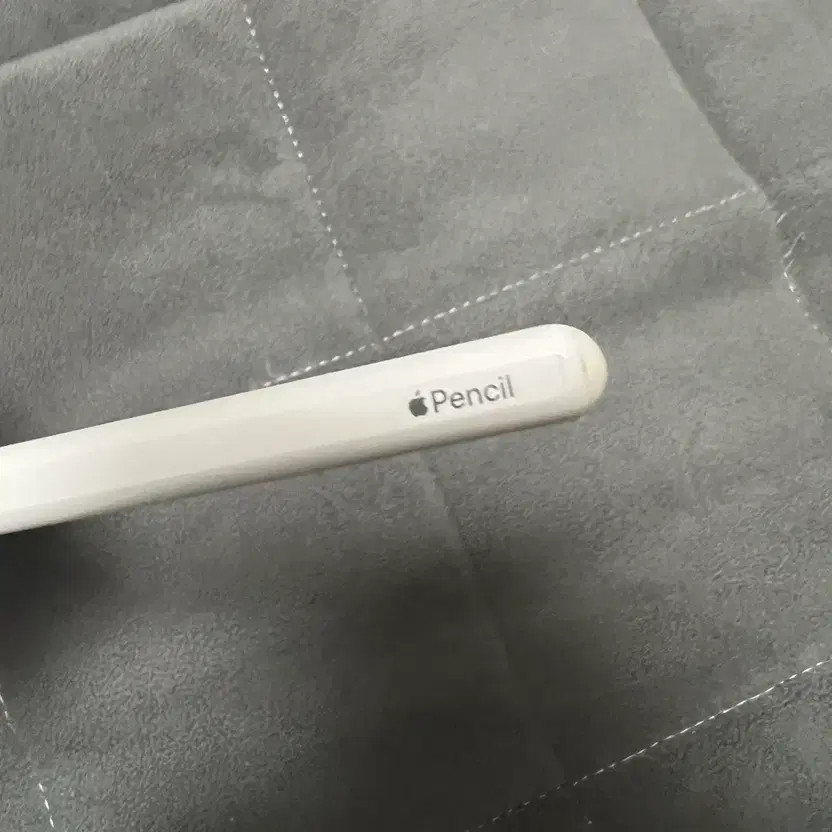 iPad Pencil 2nd Generation - Slightly Used, Includes Case | eBay