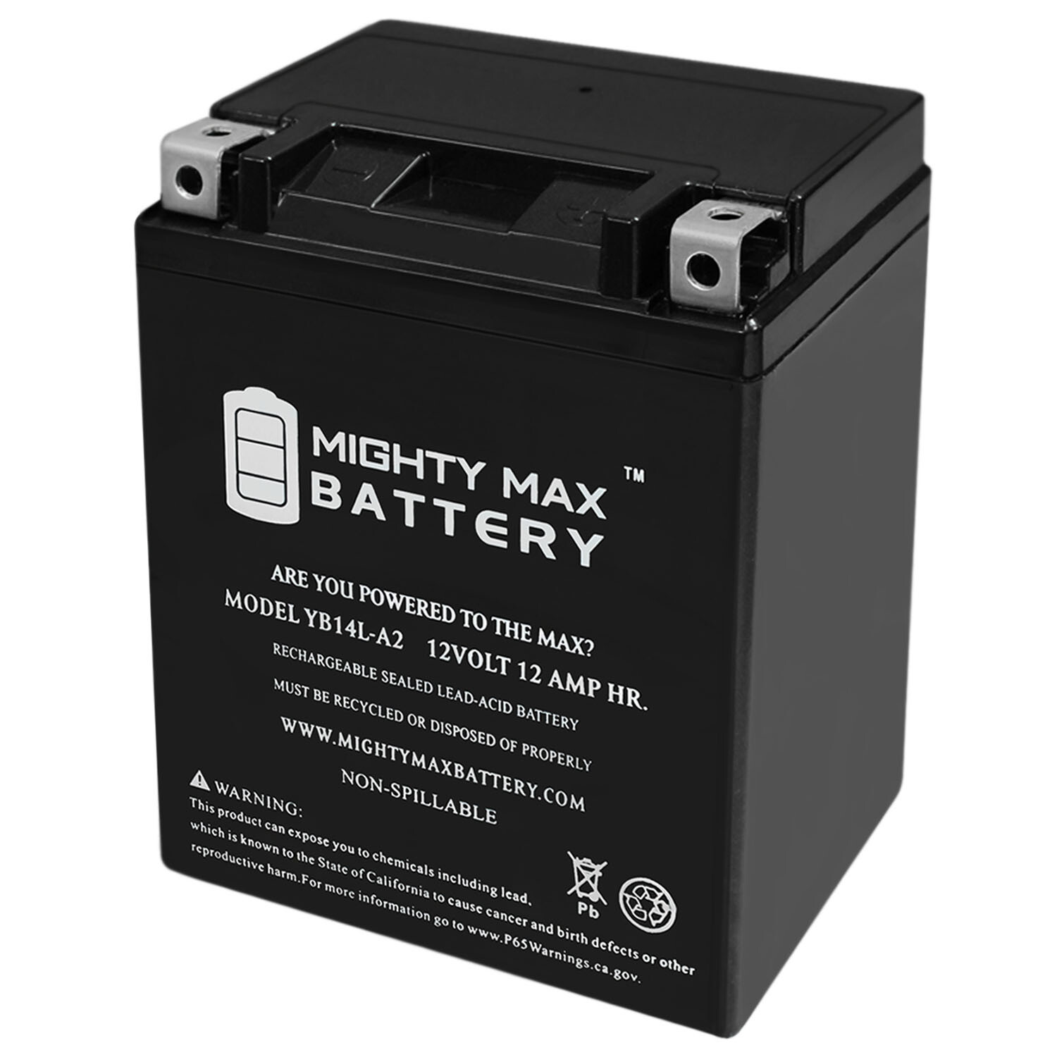 Mighty Max YB14L-A2 12V 12Ah Replacement Battery for GTX14AHL-12B ...