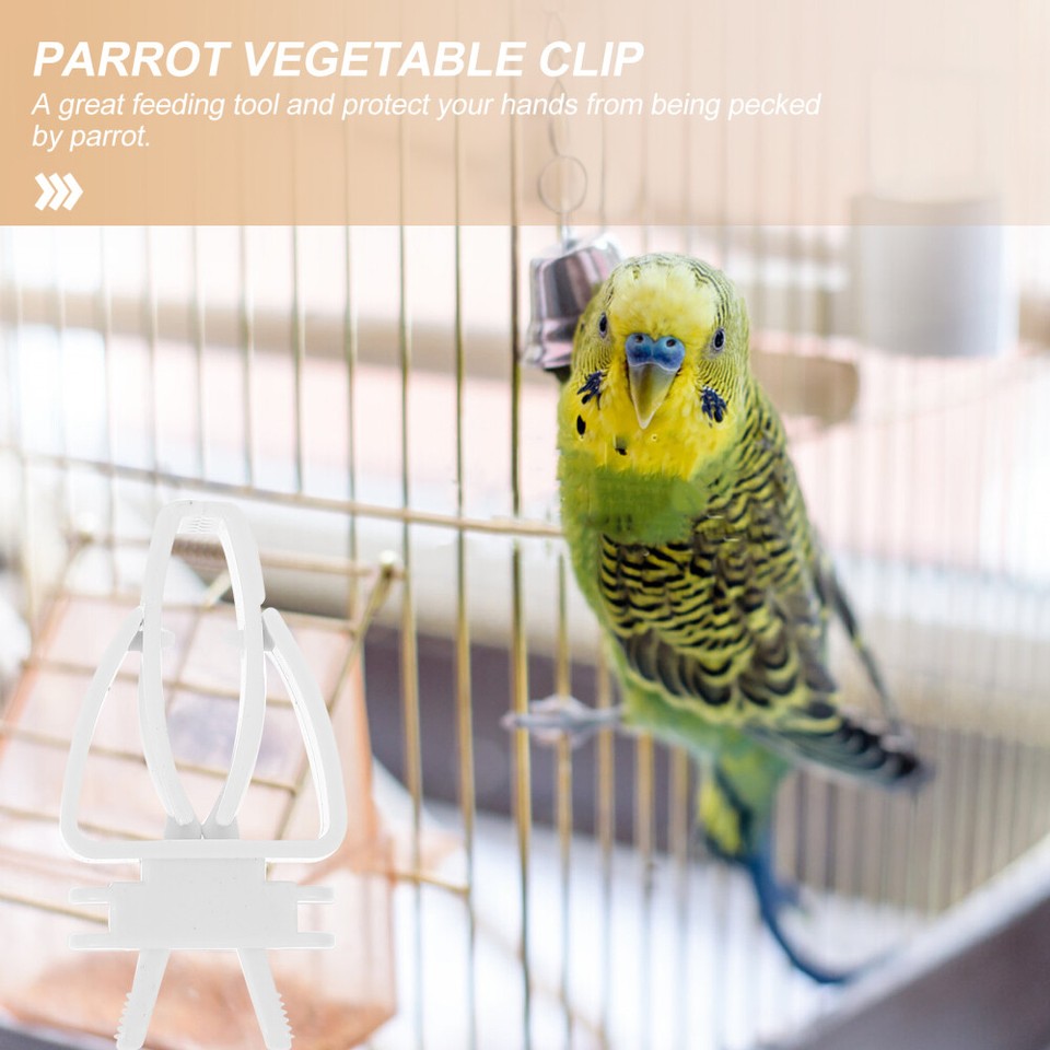 12pcs Parrot Food Forks Plastic Bird Clamps Bird Cage Accessories | eBay UK
