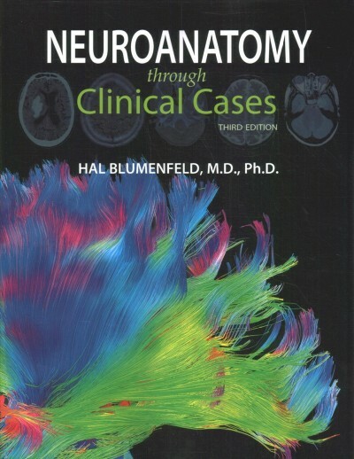 Neuroanatomy Through Clinical Cases by Hal Blumenfeld (2021, Trade ...