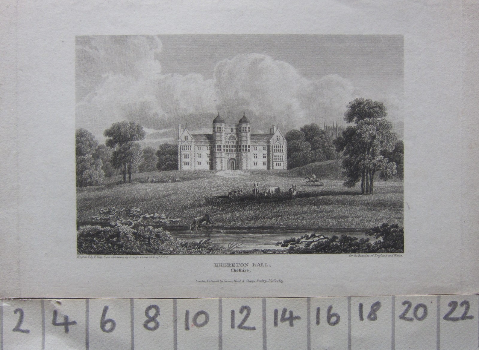 1809 ANTIQUE PRINT BRERETON HALL CHESHIRE | eBay UK