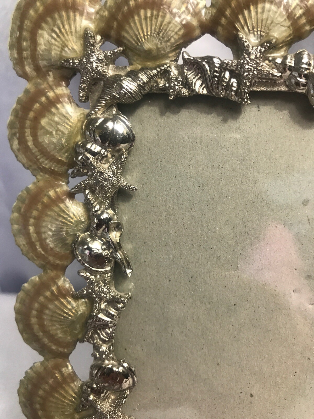 picture frame With Shells & Acrylic 4x6 Photos | eBay