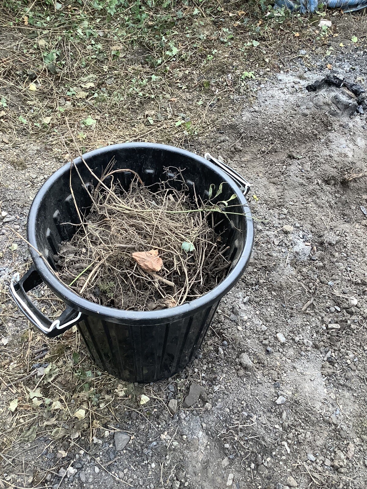 Garden Maid Electric Soil Blender/Rotavator Cultivator Tiller,American ...