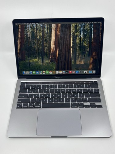 Apple MacBook Pro Retina A2338 13" M1 8-Core 8GB SSD 256GB Gray 2020 | eBay