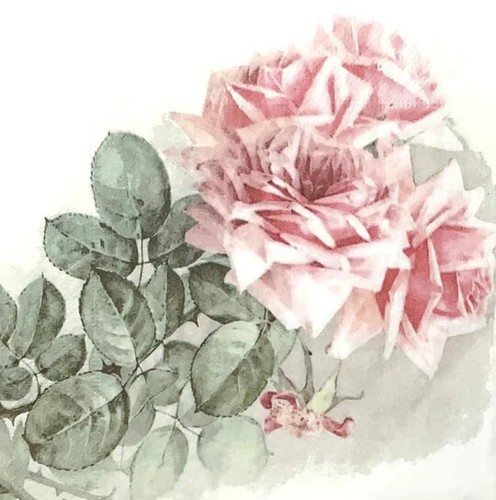 2 Servietten Sagen Vintage Design Serviettentechnik Nostalgie große ...