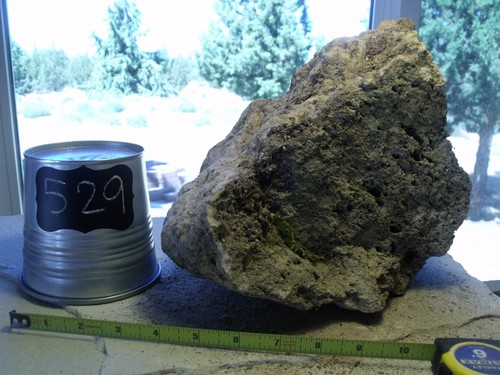 XLarge Pumice Stone Terrarium Floating Natural Rock Garden Volcanic ...