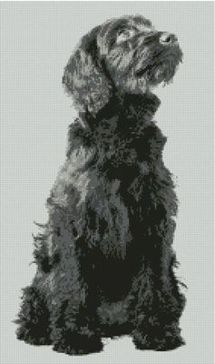 Labradoodle Dog Counted Cross Stitch Kit 8.5" x 16" 21cm x 41cm D2396 ...