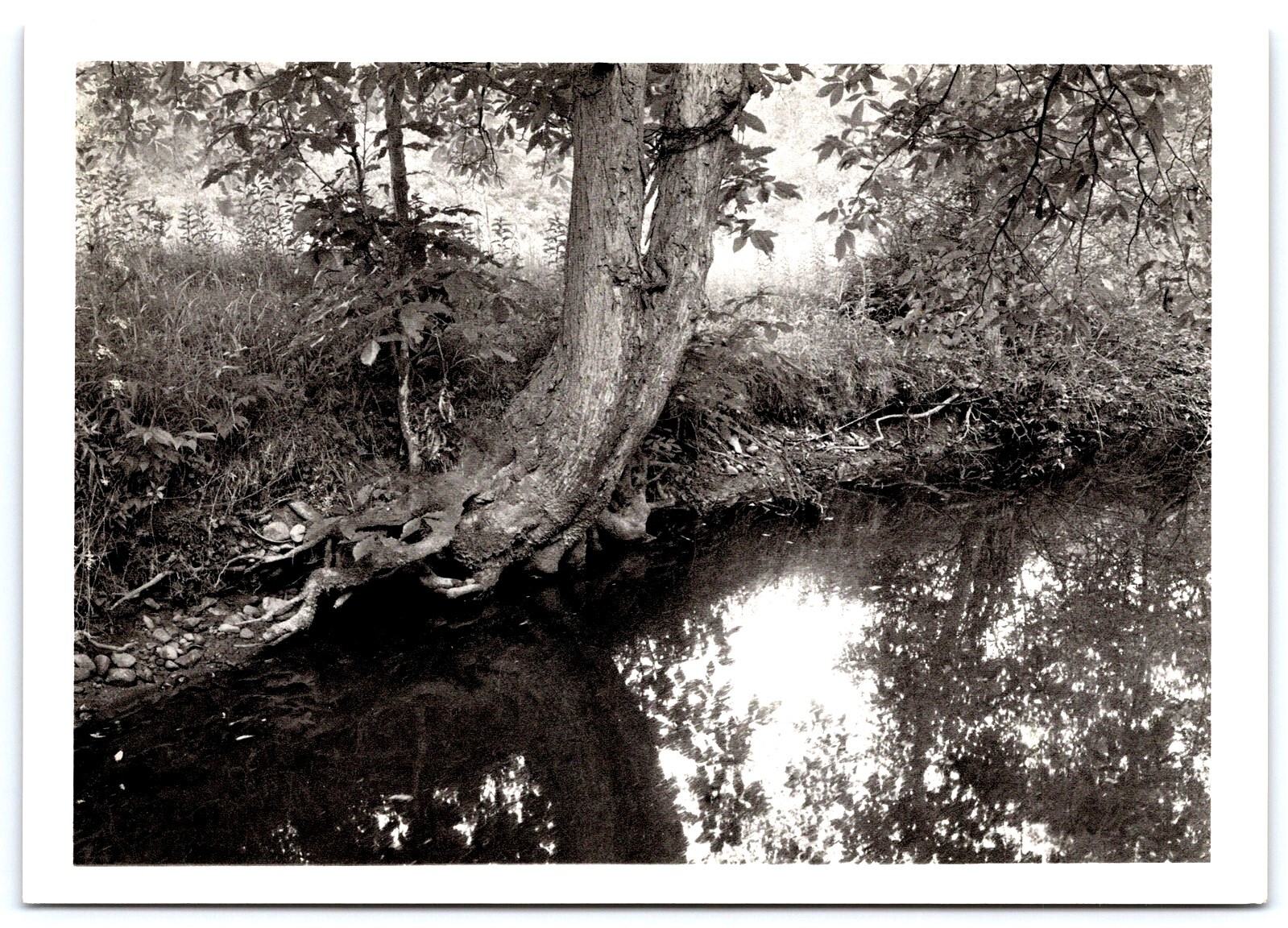 Art Card, Flatbrook, Sandy Noyes From Seven Photographers The DE Valley ...