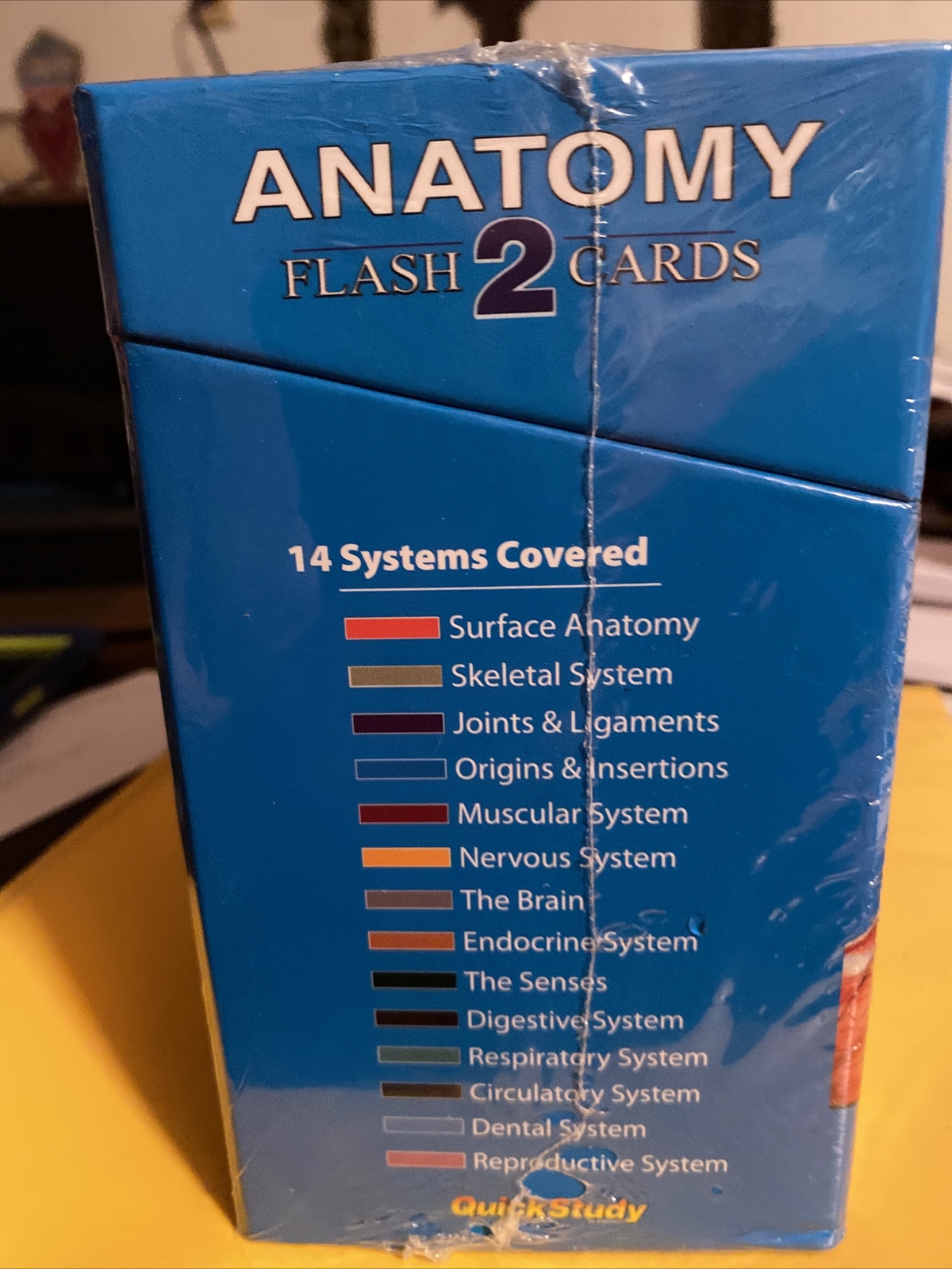 QuickStudy Anatomy Flashcards 2 by Vincent Perez 300 count 9781423232469| eBay