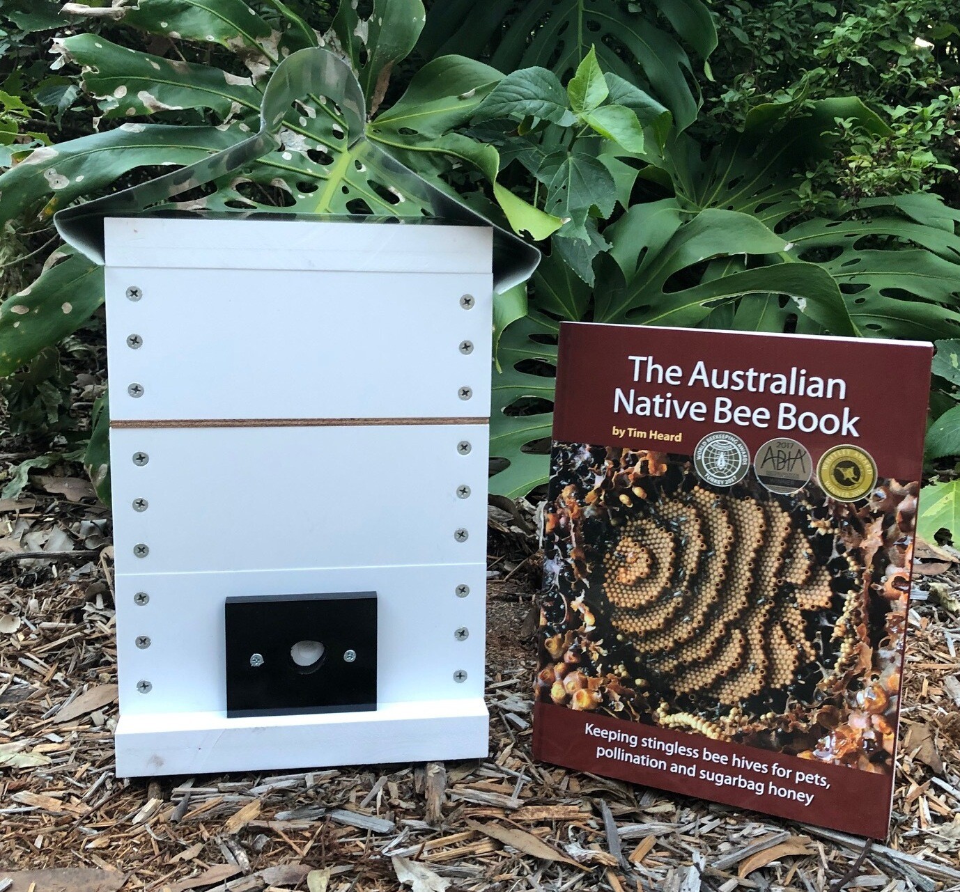 The Australian Native Bees Book Keeping Stingless Sugarbag + OATH Bee ...