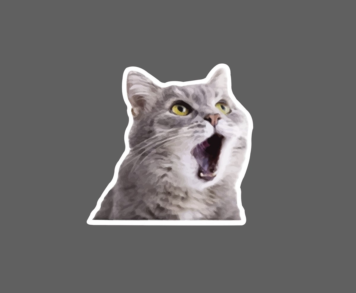 Surprised new Cat Sticker Meme