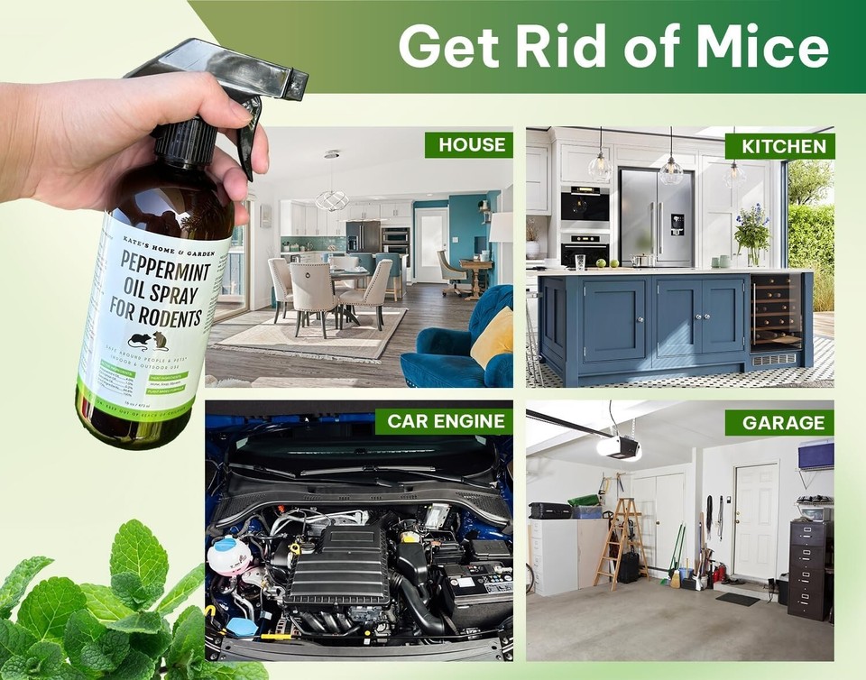 Peppermint Oil Spray, for Rodents Mice Raccoon Bat and, Squirrels ...