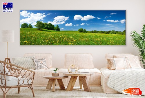 Panoramic Canvas Dandelions Field High Quality 100% Australian Made ...