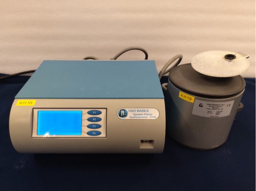 Dynamic Plantar Aesthesiometer Electronic 37450-001 & Touch Stimulator ...