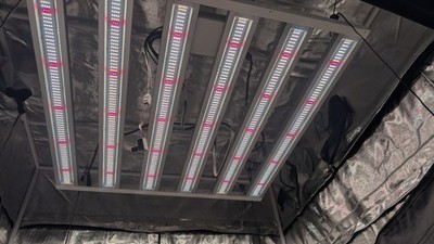 ChilLED Growcraft X6 - 1000W DIY LED Grow Light Full Spectrum | eBay