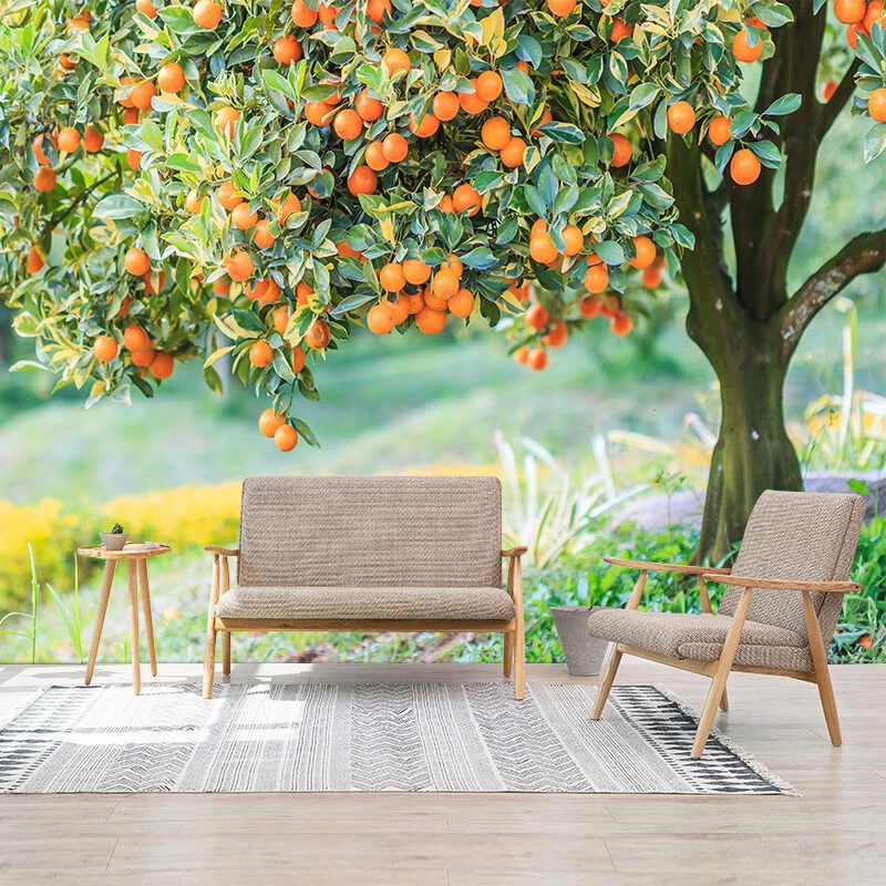 Orange Fruit Tree Wallpaper
