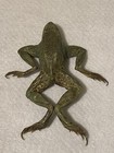 Deformed Mutant 4 Legged Frog Freak taxidermy Sideshow Gaff | eBay