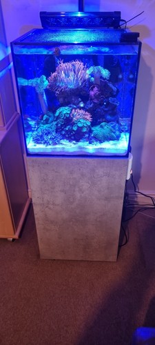 Complete Marine Reef Aquarium - Tank, Cabinet, Equipment - TMC Reef ...