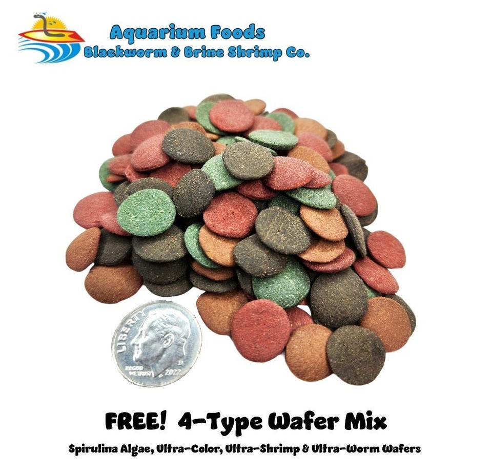 Sinking Wafers Bottom Feeder Fish Food 5-Type Mix. Algae Eater, Catfish ...
