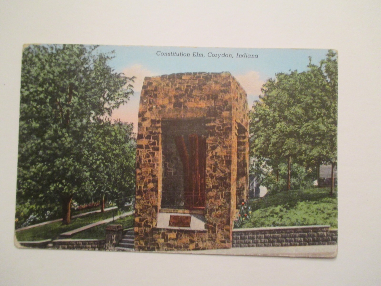 Corydon Indiana Postcard Constitution Elm IN | eBay