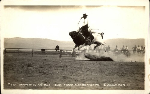 RPPC Anderson on the bull ~ Elks Rodeo Klamath Falls Oregon Miller ...