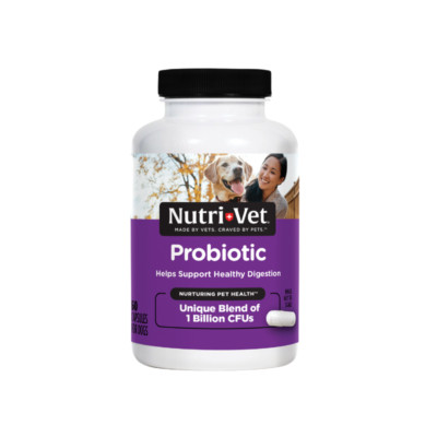 Nutri-Vet Probiotics Capsules for Dogs Supports Digestive Health, 60 ...