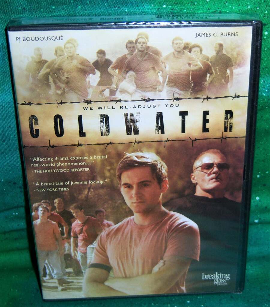 NEW LGBTQ GAY INTEREST BREAKING GLASS PJ BOUDOUSQUE COLDWATER MOVIE DVD ...