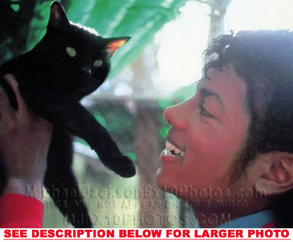 Michael Jackson Cat Memes Michael Jackson's Thriller: Fun Facts About