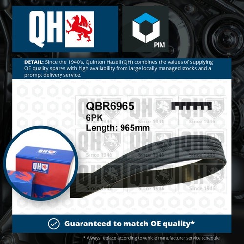 6 Rib Multi V Drive Belt fits FORD GRAND C-MAX TDCi 1.6D 10 to 19 QH ...
