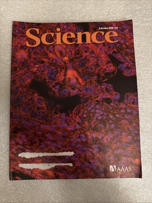 Science October 2010 8 October 2010 Human Ovarian Clear Cell Cover ...