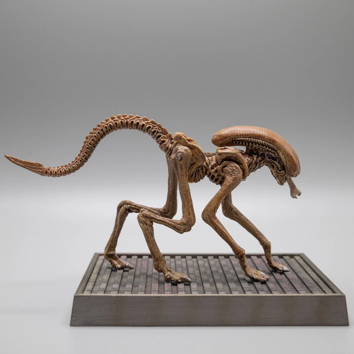 Alien 3 Dog Chestburster