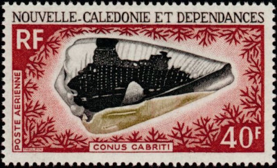 New Caledonia #YTPA99 MH 1968 Conch Shell Conus cabriti [C59 Mi460] | eBay