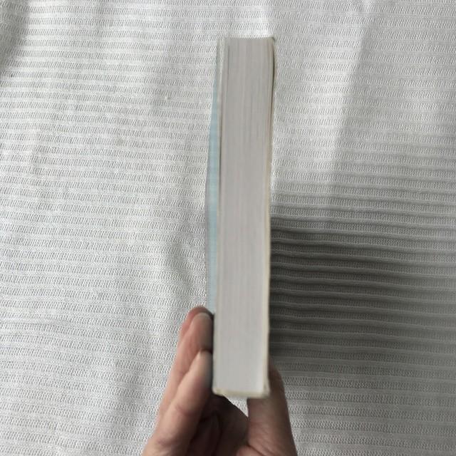 A Martyr Speaks by John A. Coey (1988, Trade Paperback) for sale online ...