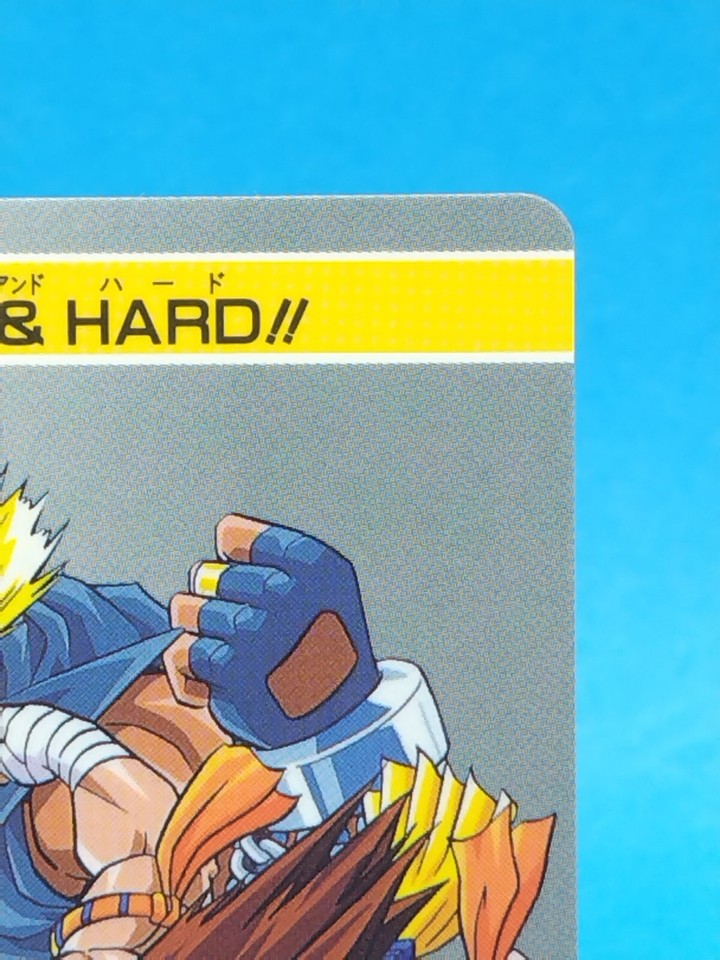 Everyone No.041 Street Fighter ZERO 1995 Carddas Trading Card CAPCOM ...