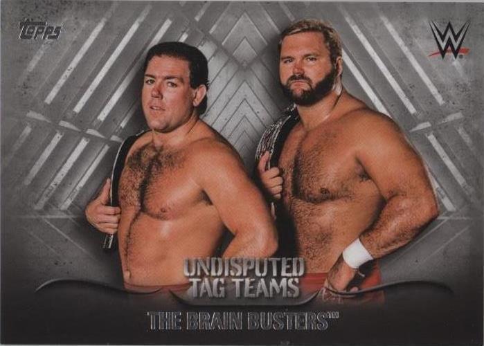 2016 Topps WWE Undisputed - Tag Teams The Brain Busters #UTT-5 Silver ...