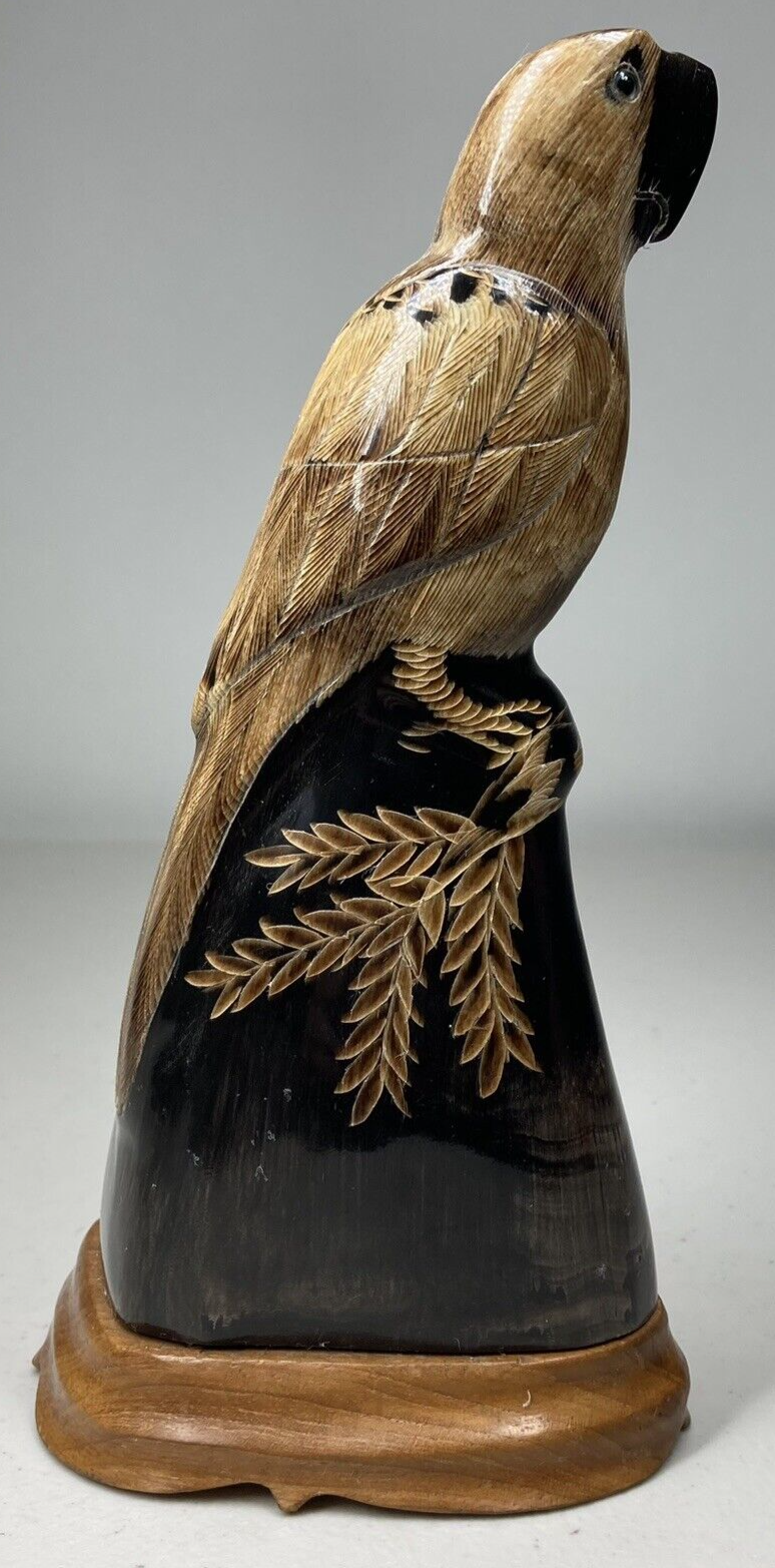 Carved Water Buffalo Horn Parrot Bird With Wood Base - Approximately 8. ...