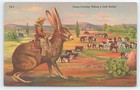 Postcard Texas Cowboy Riding a Jack Rabbit Herding Cattle | eBay