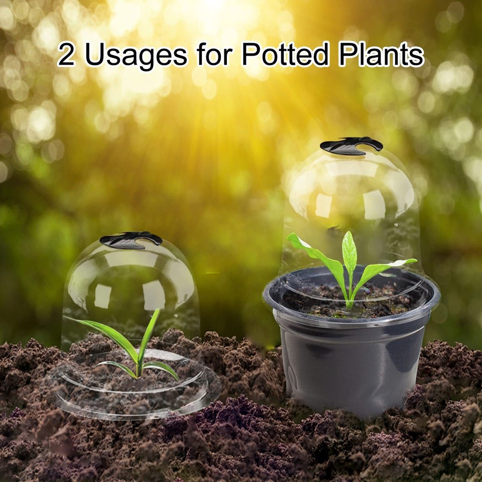 6 Pack Plant Protector Covers Garden Cloches Mini Greenhouse for ...