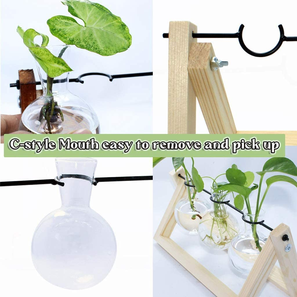 Plants Propagation Stations, Hydroponic Terrarium Kit- Desktop Glass ...