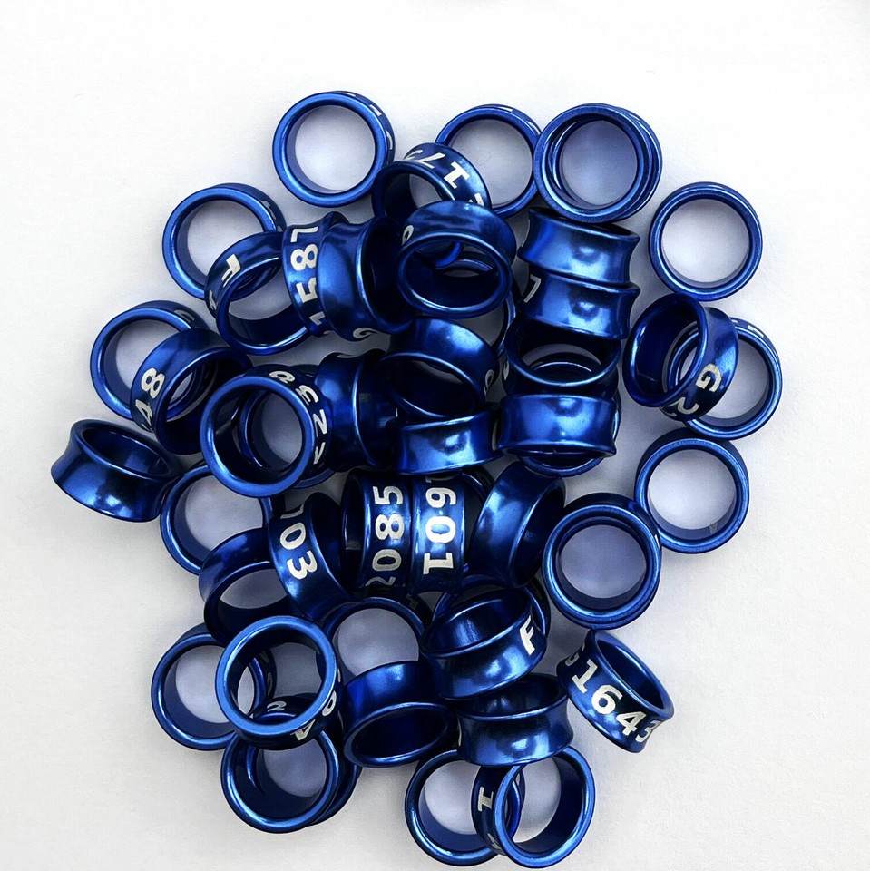 100PCS 8mm Conure Pigeons Rings Aluminium Closed-loop Bird Leg Bands | eBay