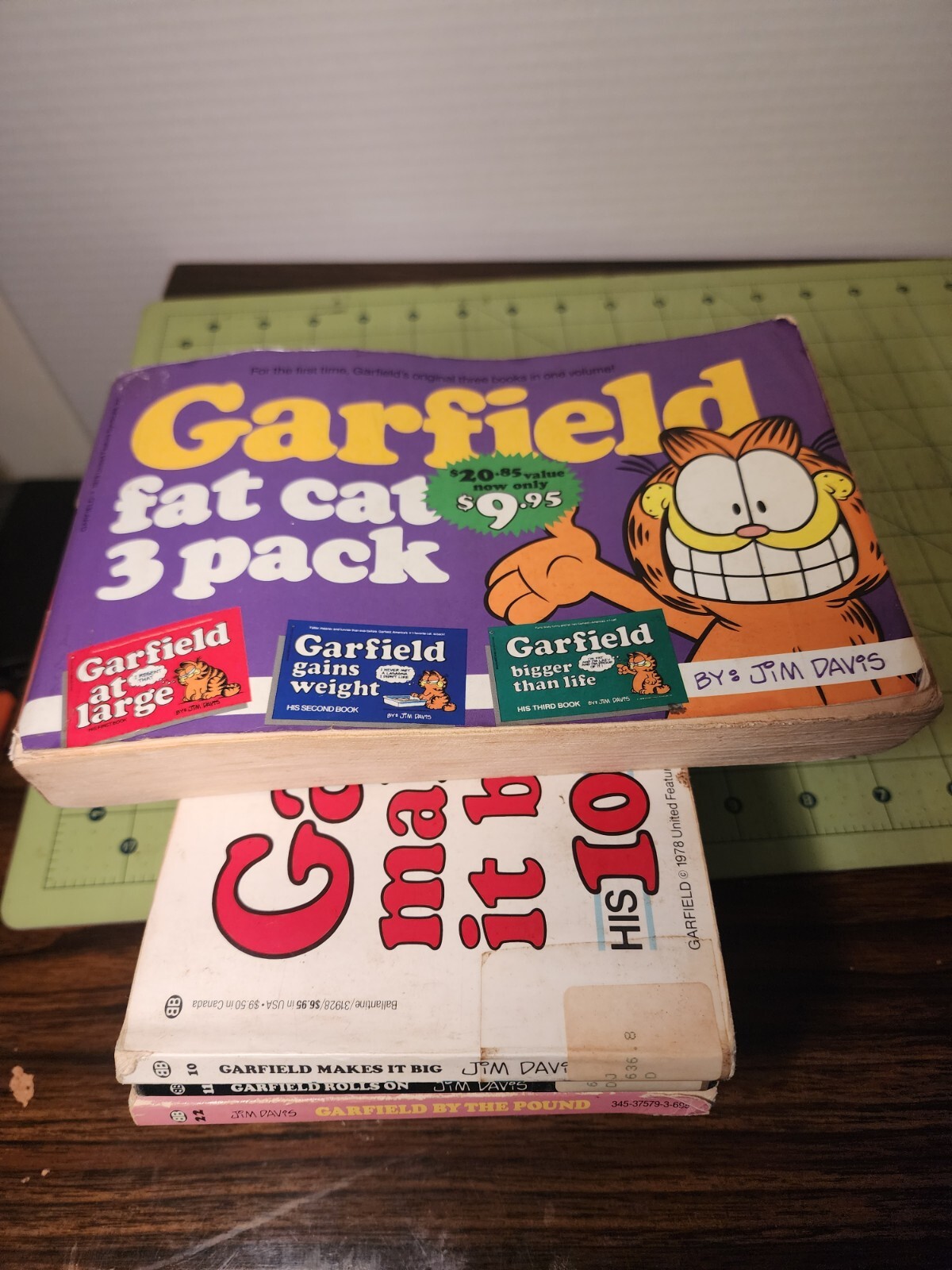 Garfield the Cat Book Lot of 11 Comics by | Grelly USA