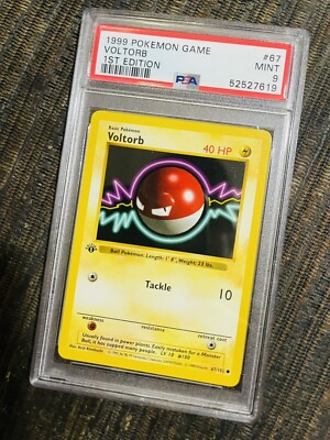 Voltorb 1st Edition Shadowless Base Set Pokemon Card #67 PSA 9 MINT | eBay