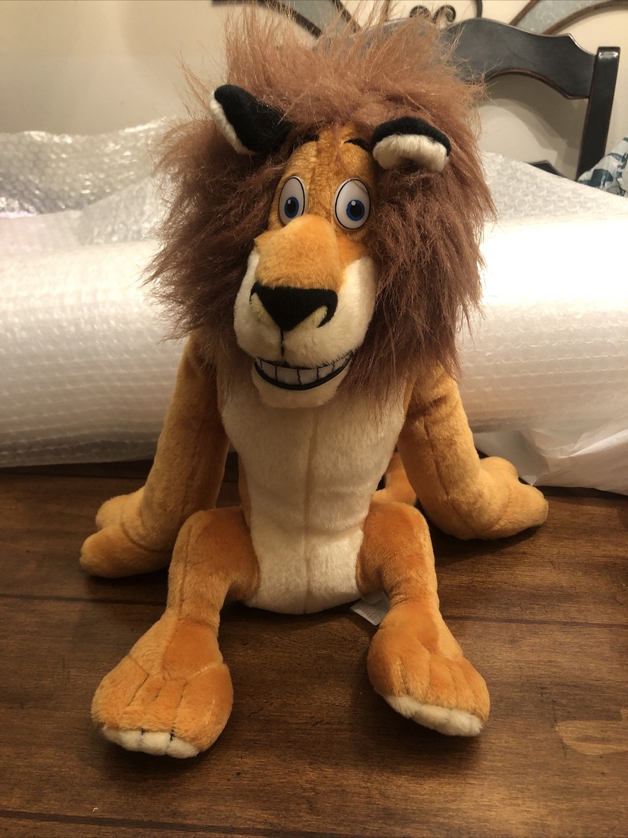 Lion Madagascar