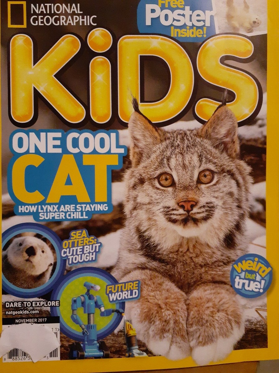 Wallpaper National Geographic Cat